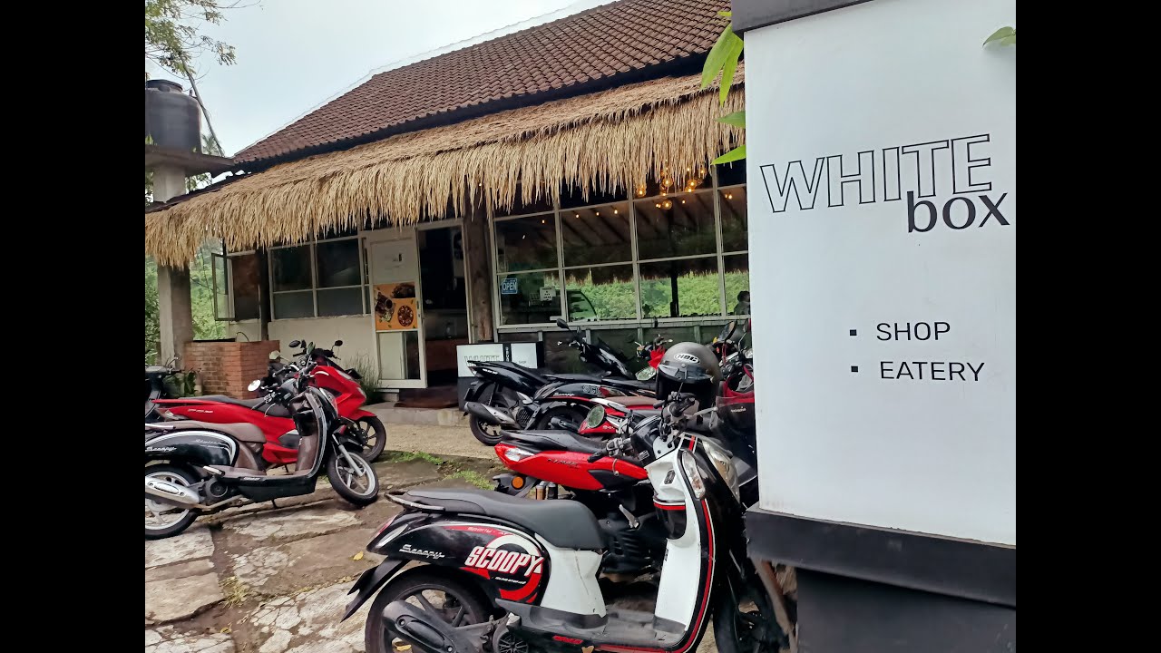 帰ってきたホワイトボックス・WHITE boxUbud - YouTube