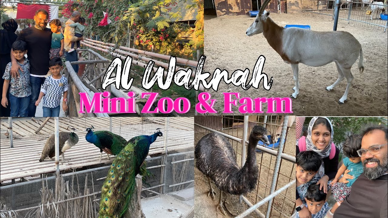 ഫ്രീയായി കണ്ടു ആസ്വദിക്കാൻ പറ്റുന്ന സ്ഥലം || Al Wakrah Mini Zoo & Farm ...