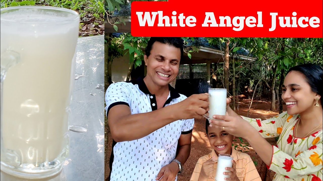 White Angel Juice //How To Make //AJU'S WORLD - YouTube