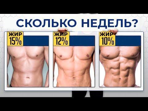 Как Долго Нужно Пробыть на Диете чтобы Наконец то Увидеть Свои Мышцы Пресса