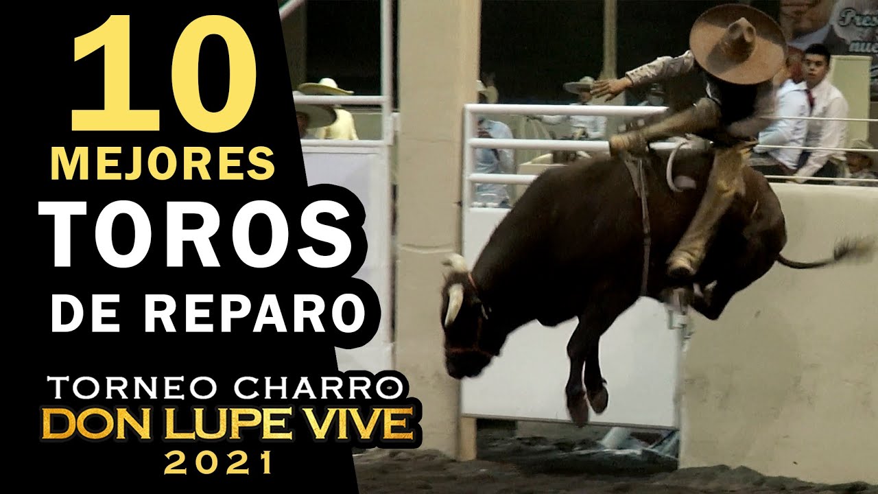 Los 10 TOROS DE REPARO Jineteo de Toro - Torneo Don Lupe Vive 2021 ...