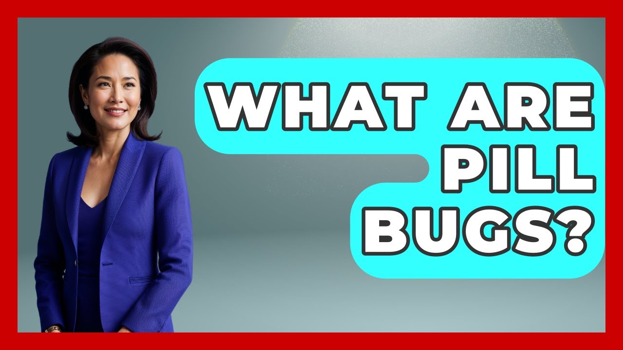 What Are Pill Bugs? - Insects and Invaders - YouTube