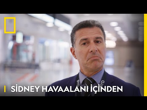 Sidney Havaalanı İçinden | National Geographic