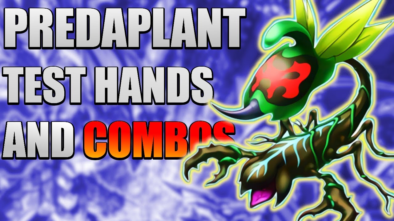 PREDAPLANT BRANDED TEST HANDS AND COMBOS | JULY 2022 | Yu-Gi-Oh! - YouTube