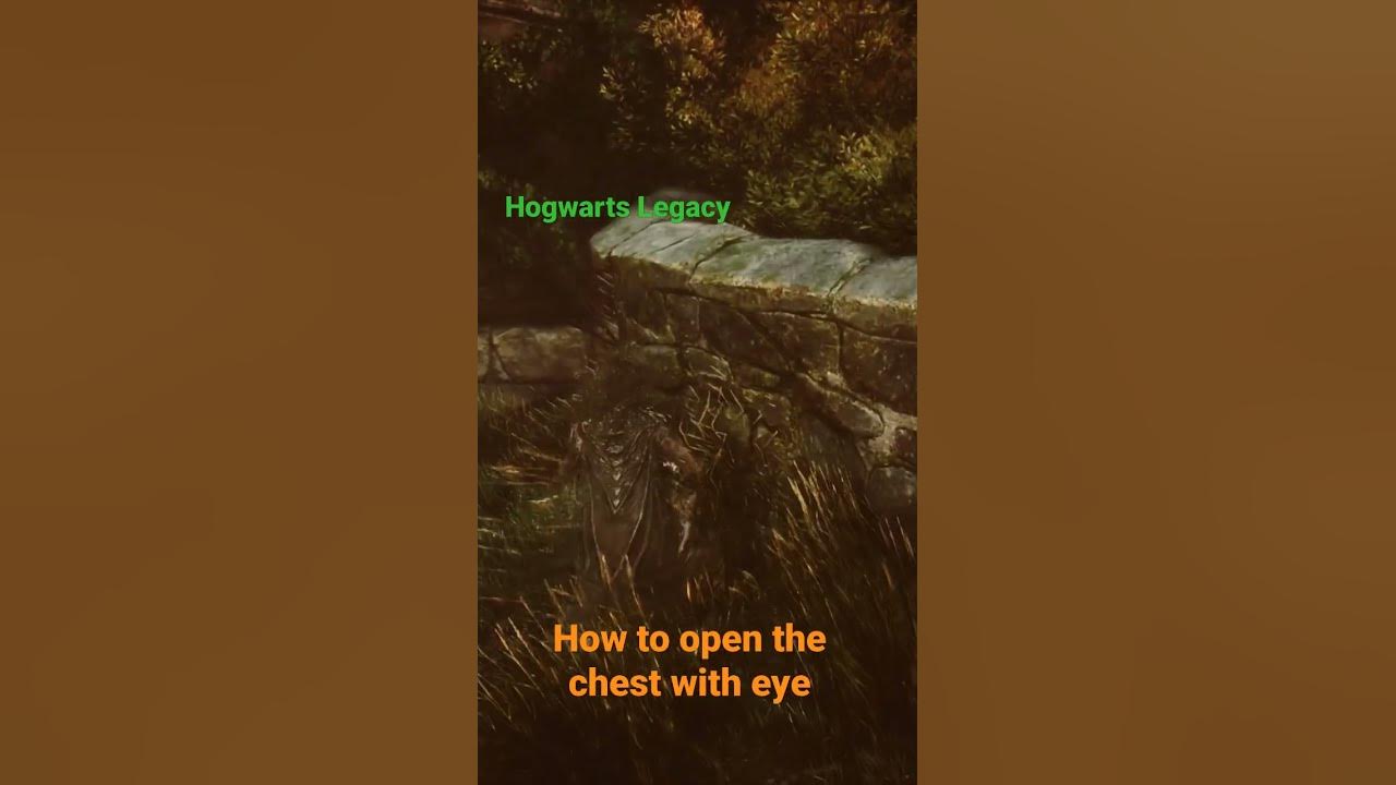 Hogwarts Legacy secret chest Öffne Augen-Truhe Mit einem Unsichtbarkeitszauber - YouTube