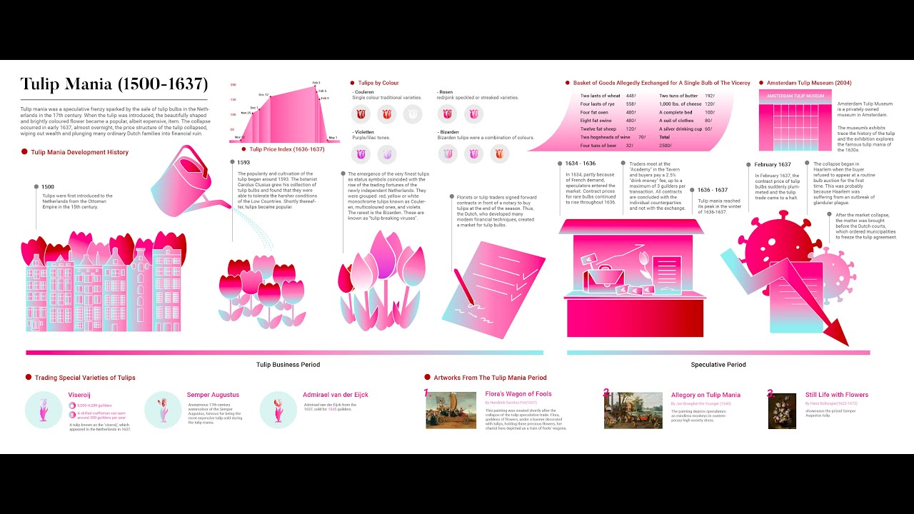 Tulip Bubble- Tulip Mania Infographic - YouTube