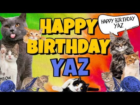 Happy Birthday Yaz! Crazy Cats Say Happy Birthday Yaz (Very Funny ...