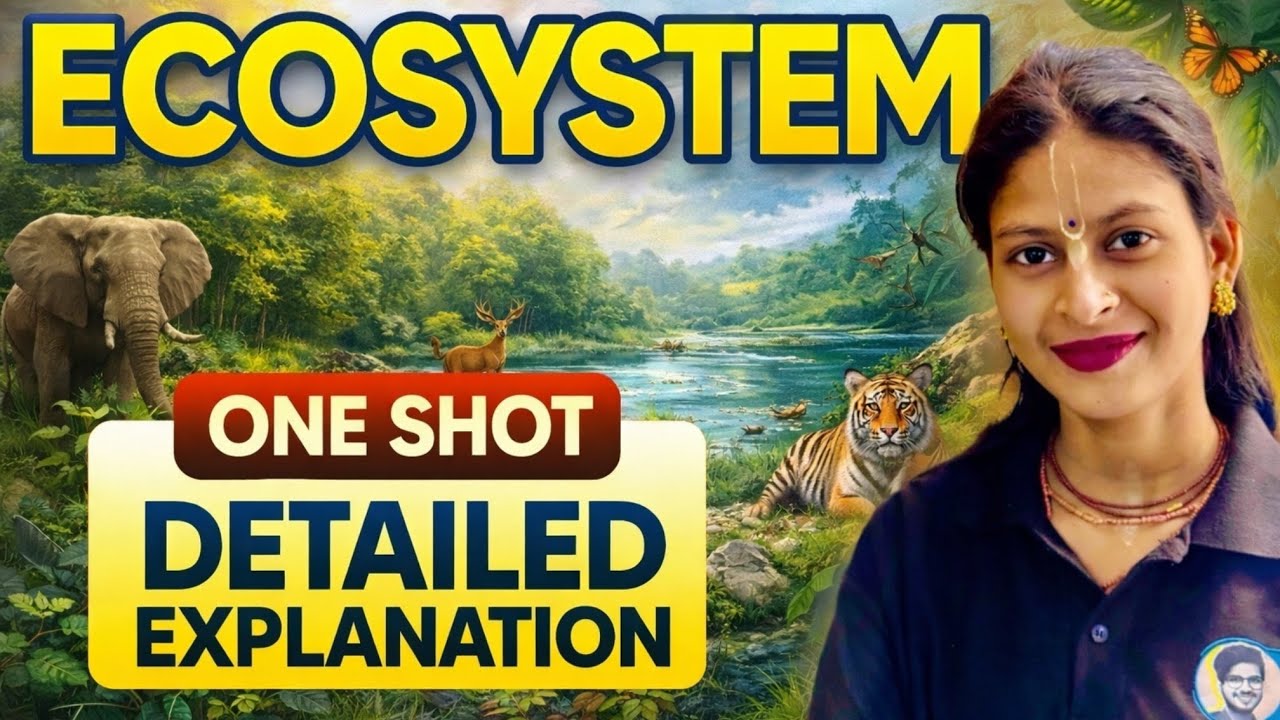 Ecosystem One Shot Class 12 Biology | CBSE Board 2025–26 | Energy Flow ...