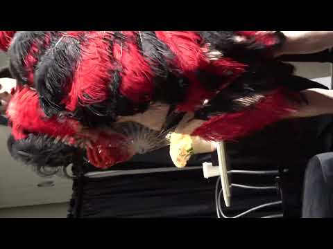 Burlesque lingerie performance at the Curve intimate show at Javits Jacob center 2022 February