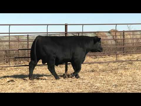 Lot 19, BJ Playbook 9157