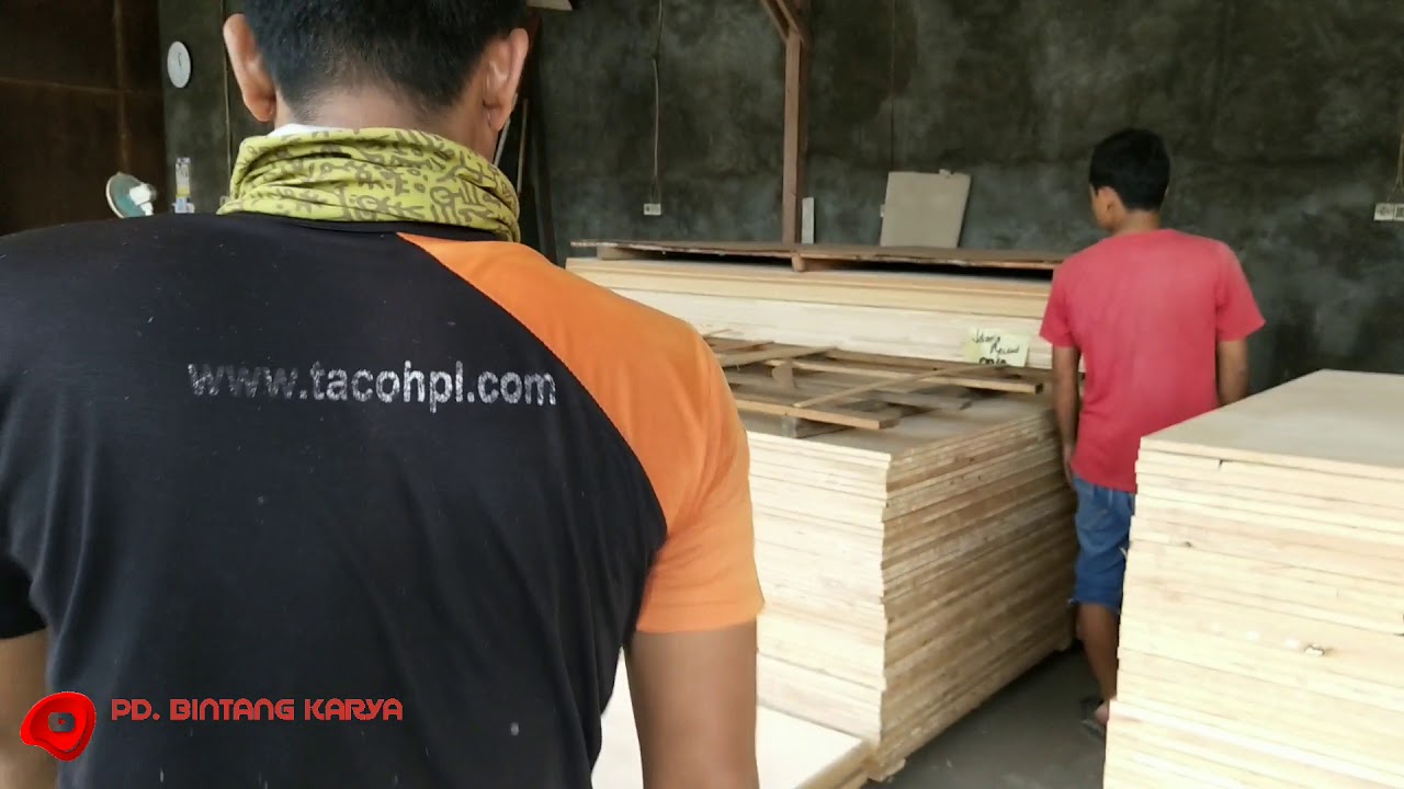 Belanja Triplek 1,8cm Singel Teakwood Serat Jati Kualitas 1 - YouTube