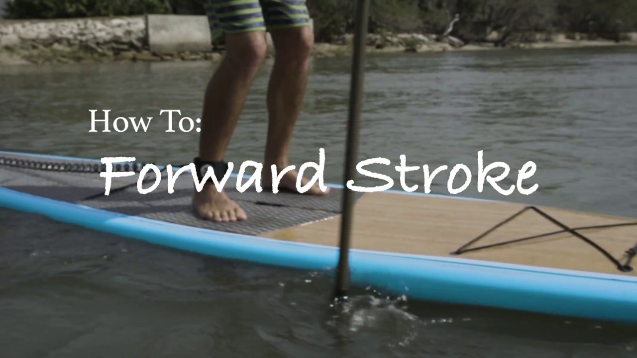 The Forward Stroke - YouTube