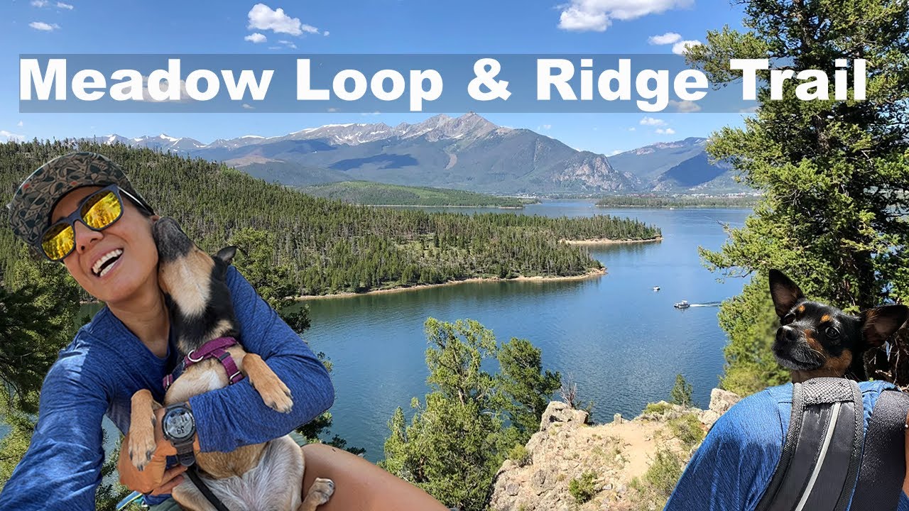 SMALL DOG HIKES | Meadow Loop and Ridge Trail | Dillon, Colorado - YouTube