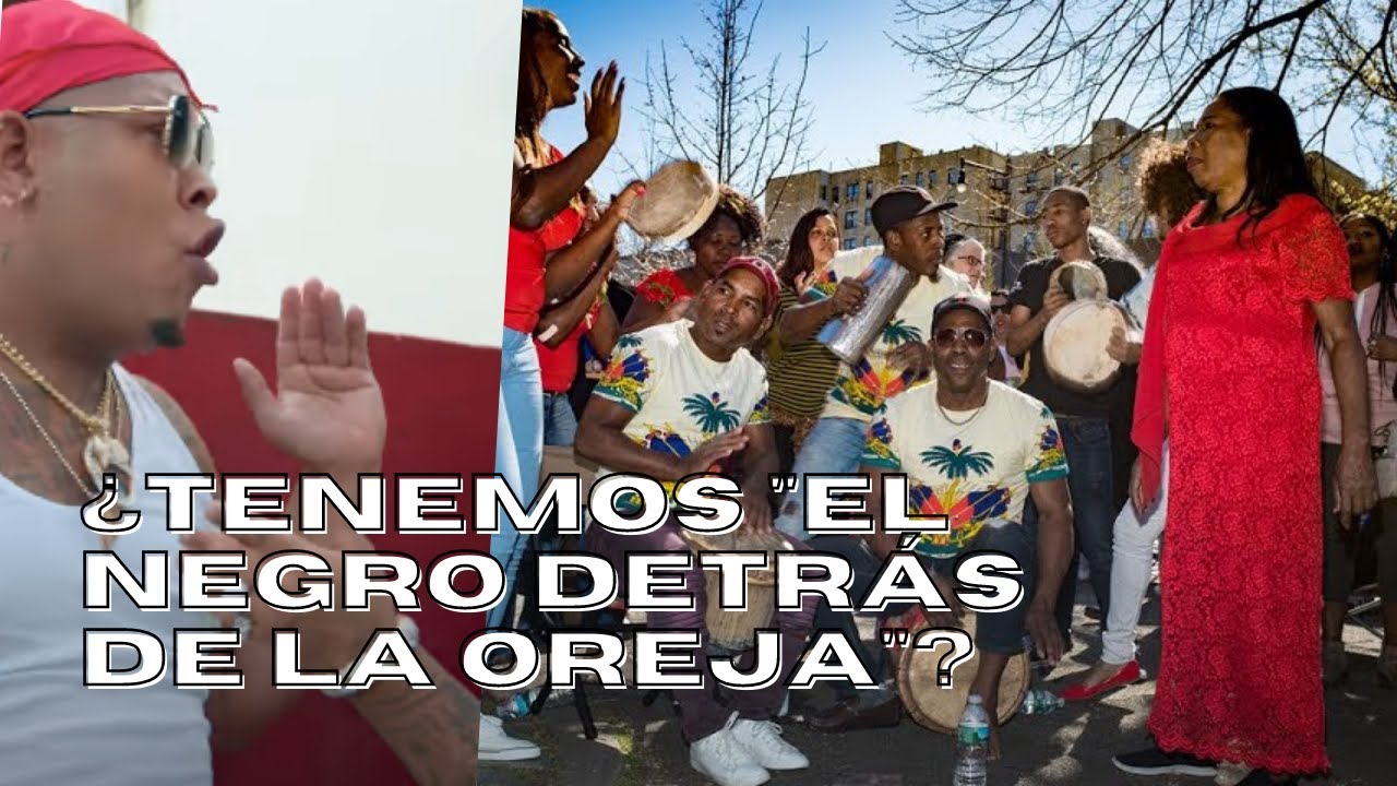 La VERDAD sobre LOS PALOS, la MÚSICA URBANA y VILLA MELLA - YouTube