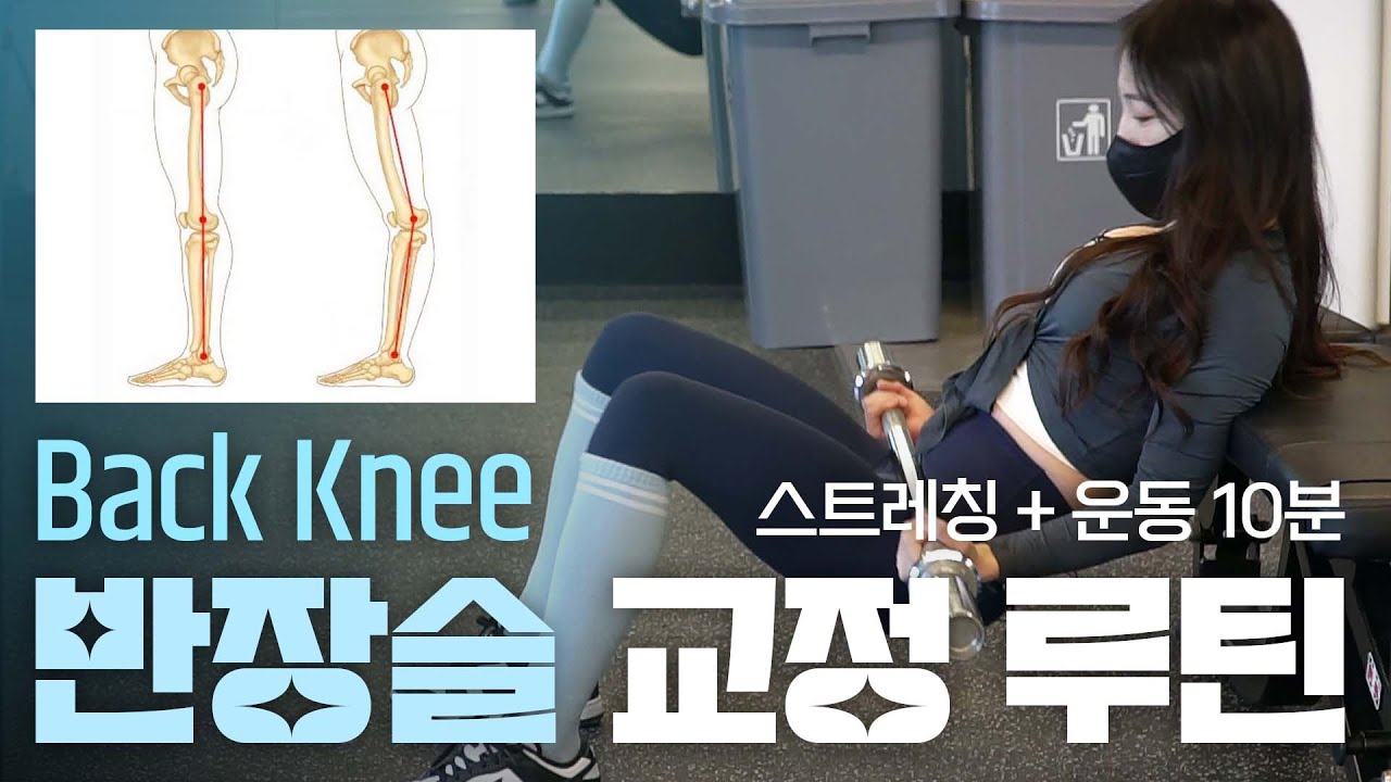 반장슬(Back Knee) 교정 10분 루틴│스트레칭+운동│벤치, 바벨 활용 (ft. 안다르) [황선주의 득근득근 in 헬스장 ...