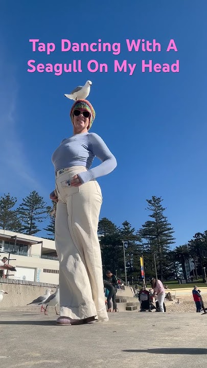 Tap Dancing With A Seagull On My Head #acapella #seagulls #danceform # ...