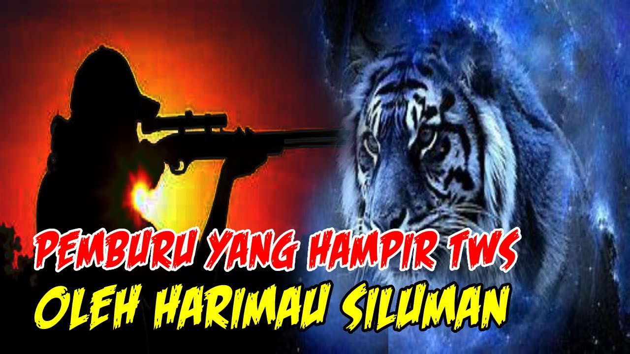 KISAH MISTERI : PEMBURU YANG HAMPIR TWS OLEH HARIMAU SILUMAN - YouTube