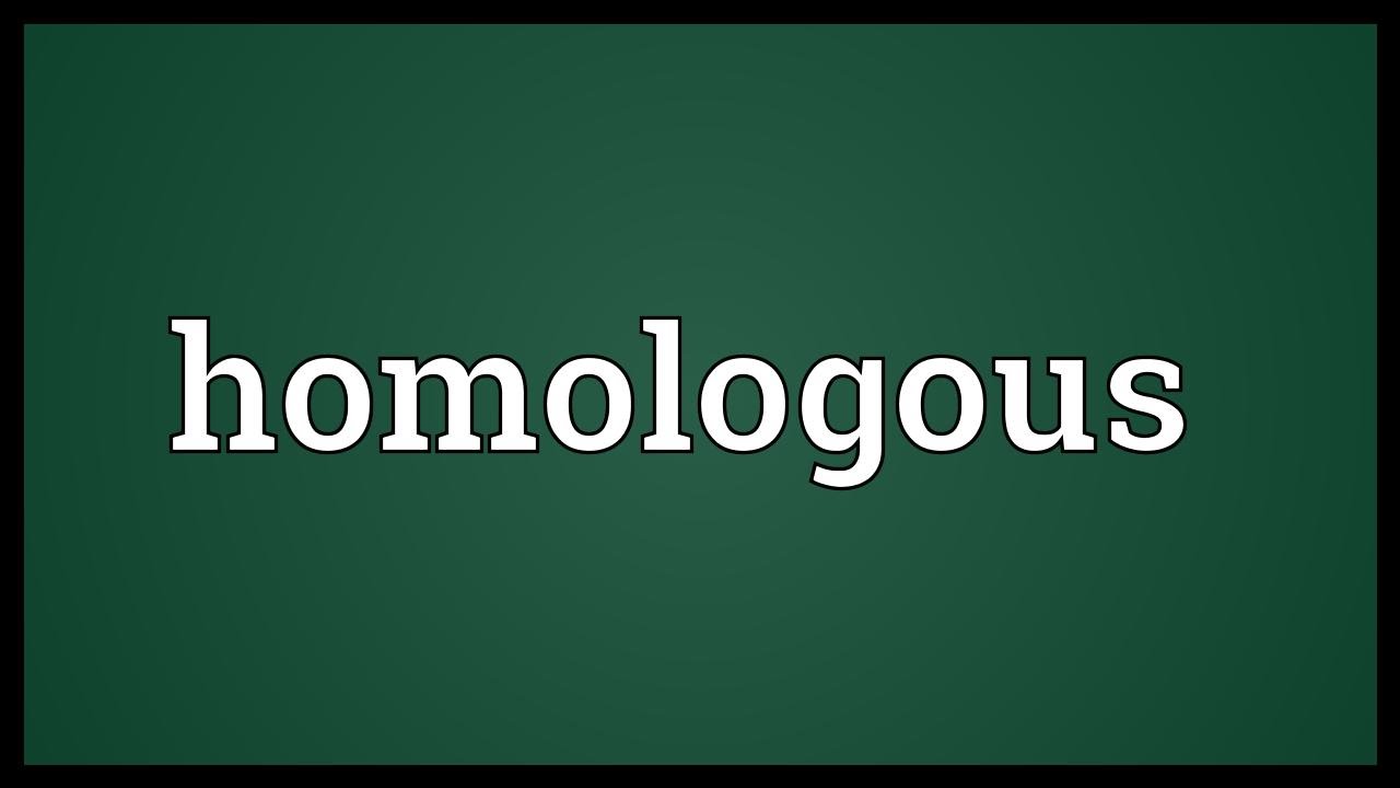 Homologous Meaning - YouTube