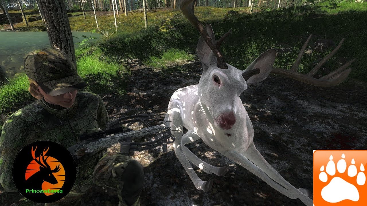 Thehunter Classic Rare Albino Whitetail Deer Buck Redfesthers Falls (4K ...