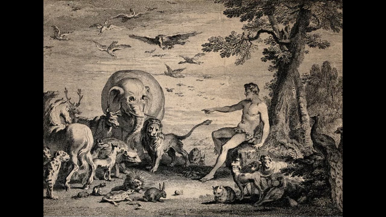 Adam Looking for his Eve - YouTube