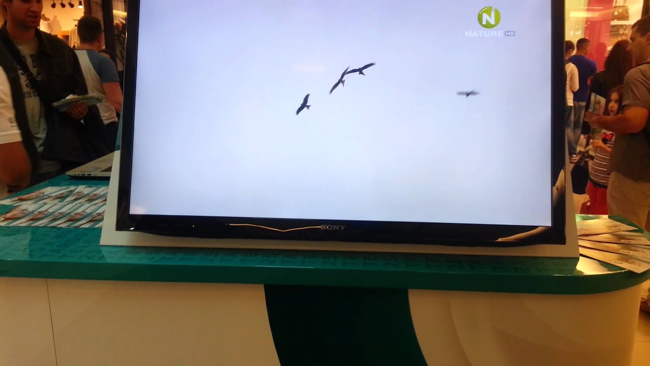 TARGO Telekom HD Televizija - www.umrezen.in.rs - YouTube