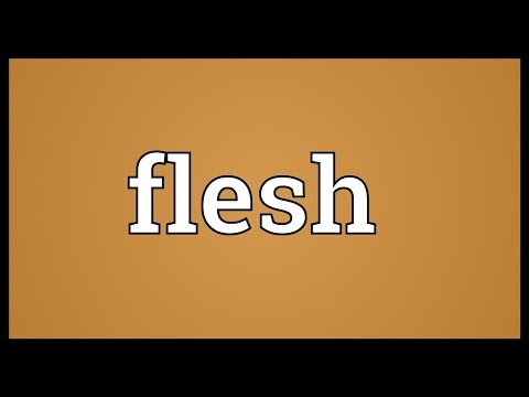 What Is The Scientific Term For Flesh