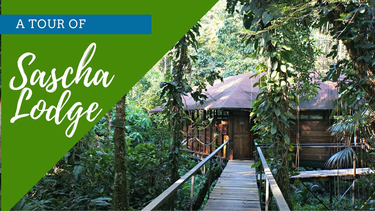 A Tour Of Sacha Lodge - Ecuador Amazon - YouTube