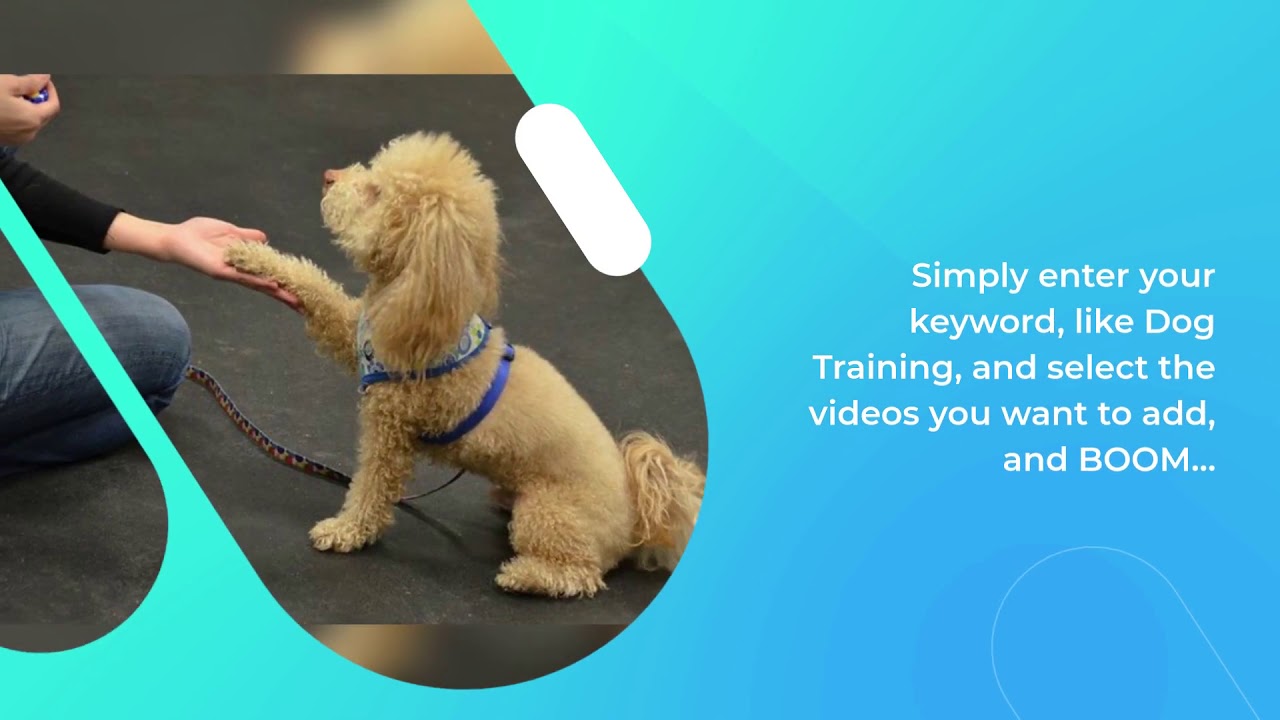 Flixter Pro Video Streaming Platform Software -- How you can Stream on ...