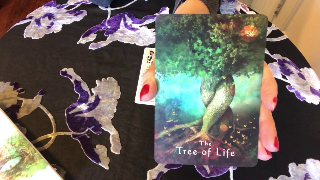 Daily Tarot Reading for today Dec, 27 2019 - YouTube