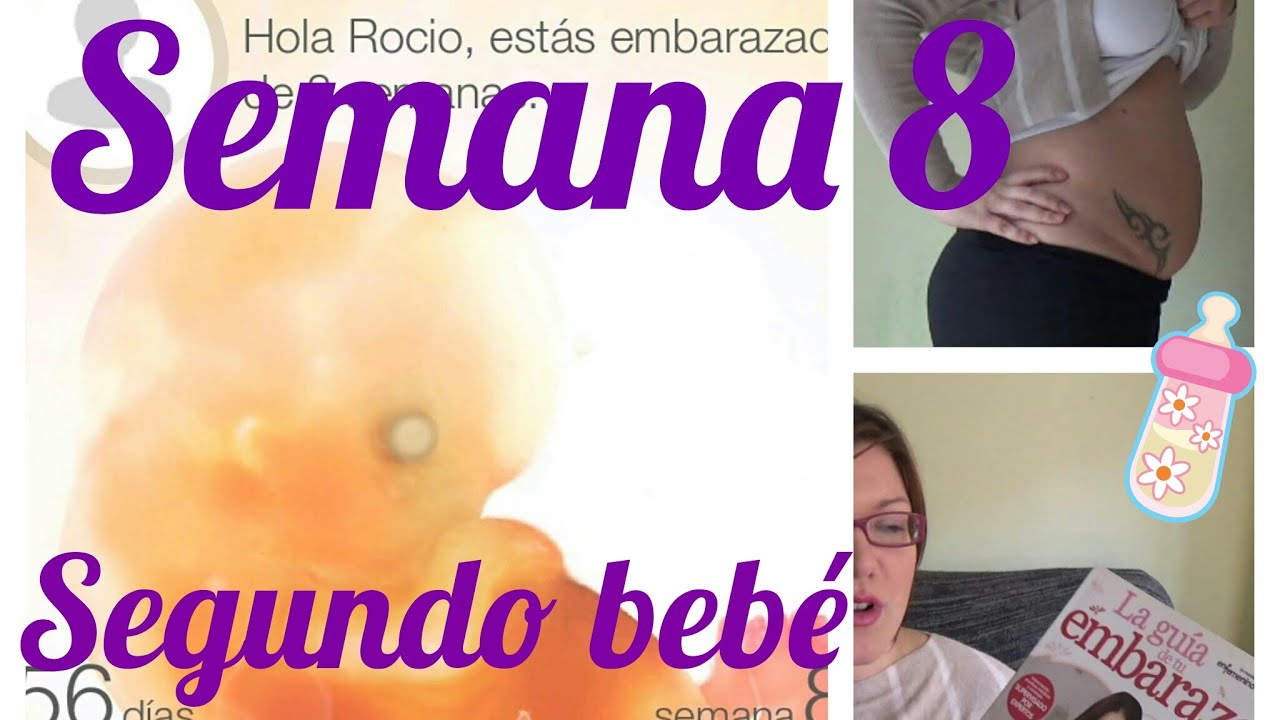 Semana 8 de embarazo | Guia de embarazo | - YouTube