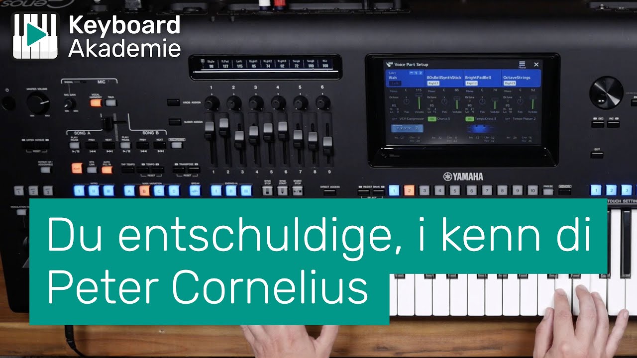 Du entschuldige, i kenn di // Peter Cornelius // KA live - YouTube