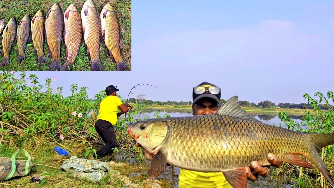 Fish Catching Singal Hook Fishing Techniques | Rohu Fishing Video ...