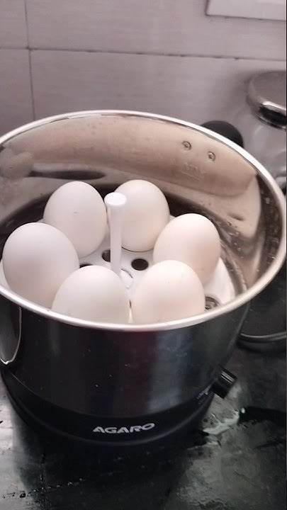 How to boil egg using AGARO electric multi kettle| Shorts| Boiled egg 💥🔥 - YouTube
