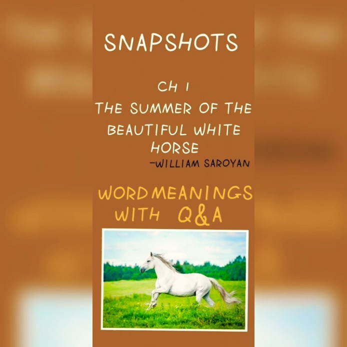CLASS 11 / CH 1 SNAPSHOTS / WORD MEANINGS AND Q&A - YouTube