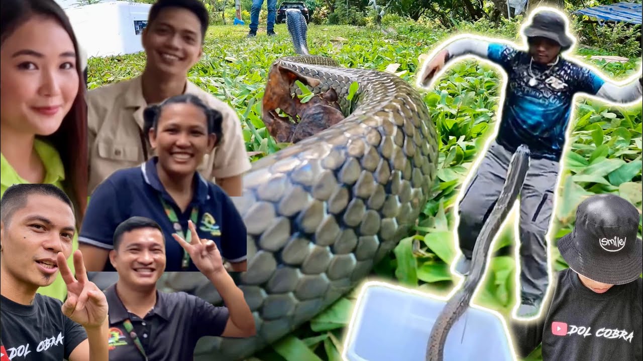 BANAKON KING COBRA KASAMA ANG GMA NEWS NETWORK! #davaocity # ...
