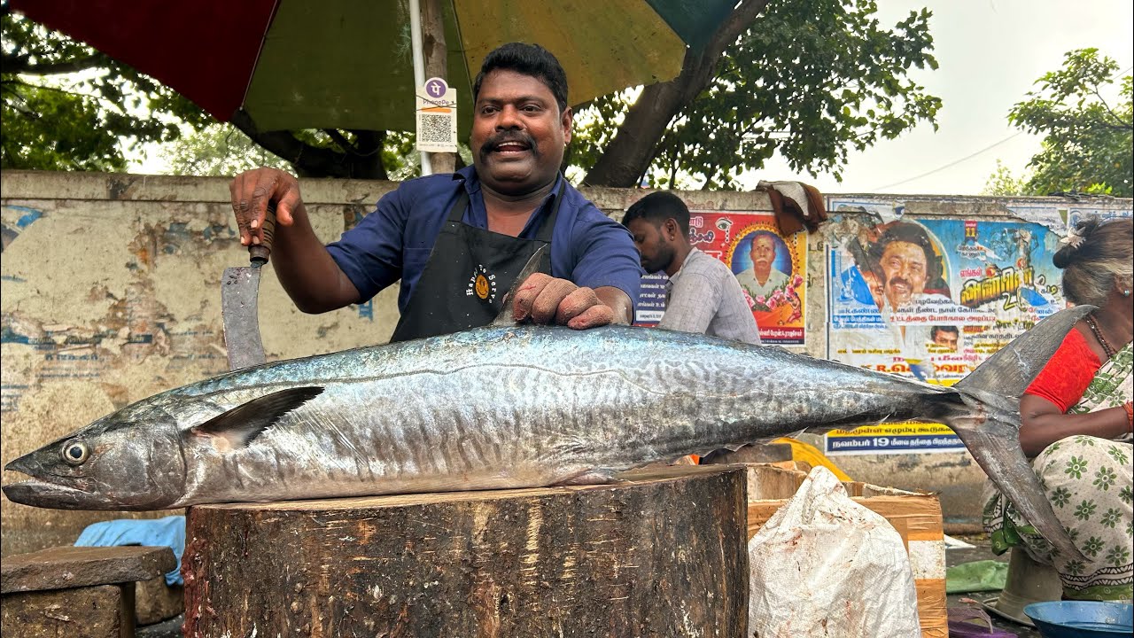 🤯🔪12KG BIG SEER FISH | KASIMEDU SPEED SELVAM OUTSTANDING FAST FISH ...