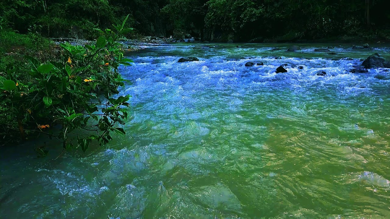 - ASMR: Flowing Peace Stream Sounds (Water Ripples & Natural Sounds ...