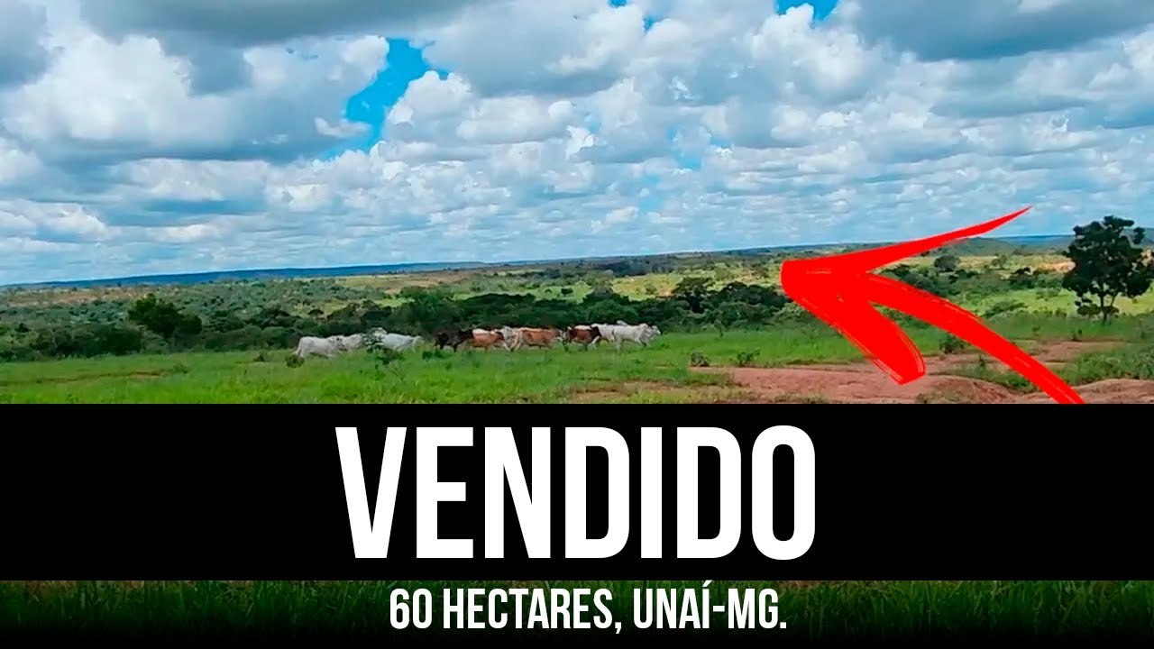 VENDIDO: 60 hectares, 37 de pasto, 26 Km Cabeceiras - GO, 6 do asfalto ...