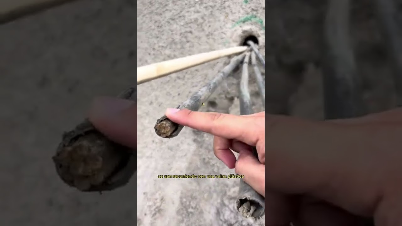 P1 Anclajes Activos De Torones - YouTube