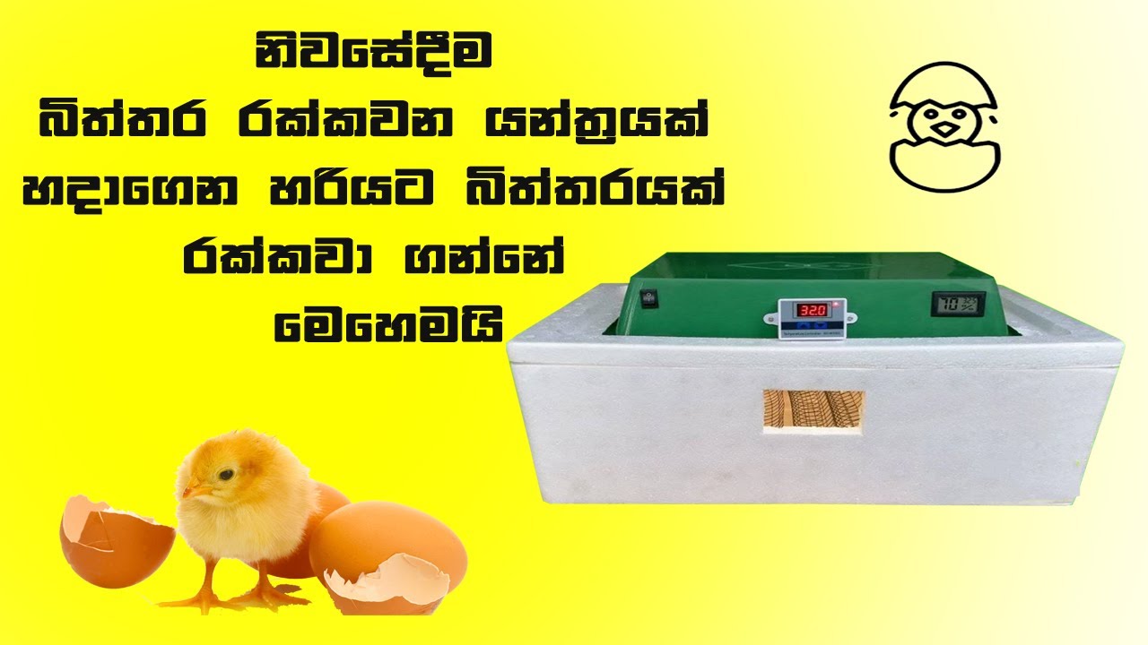 How to make incubator / Egg Hatched / How to make a hatching incubator ...