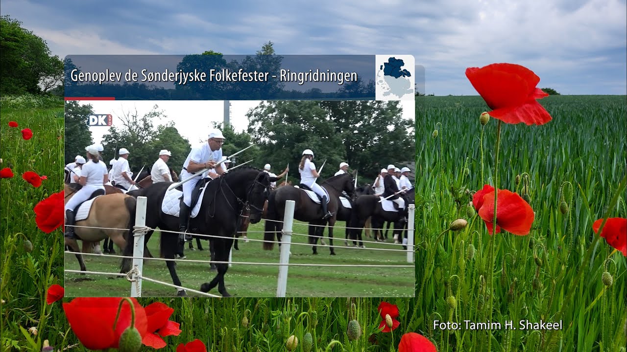 Programoversigt 21.06.2024 - YouTube