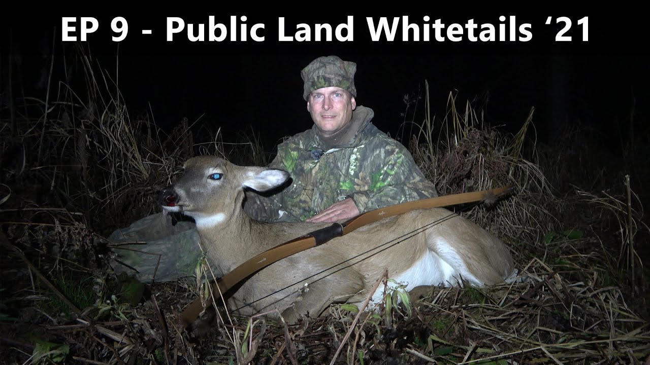 My First Recurve Deer!!! - Hunting From The Ground - Public Land ...