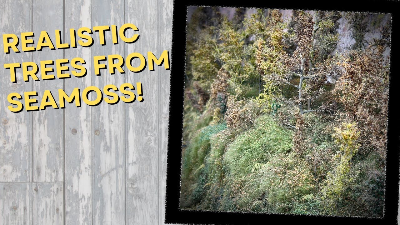 DIY Seafoam Trees for Model Railways – Easy & Realistic Scenery! - YouTube