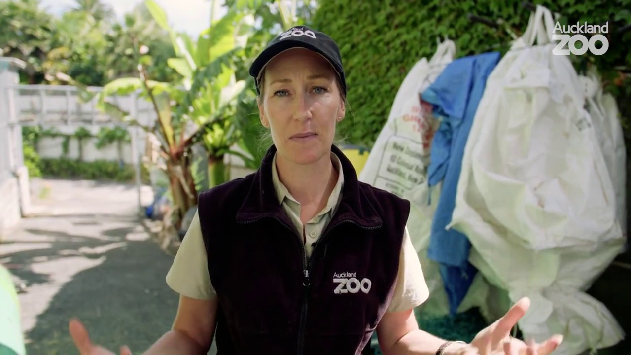 Zoo News - The Great Ape Heart Project - YouTube
