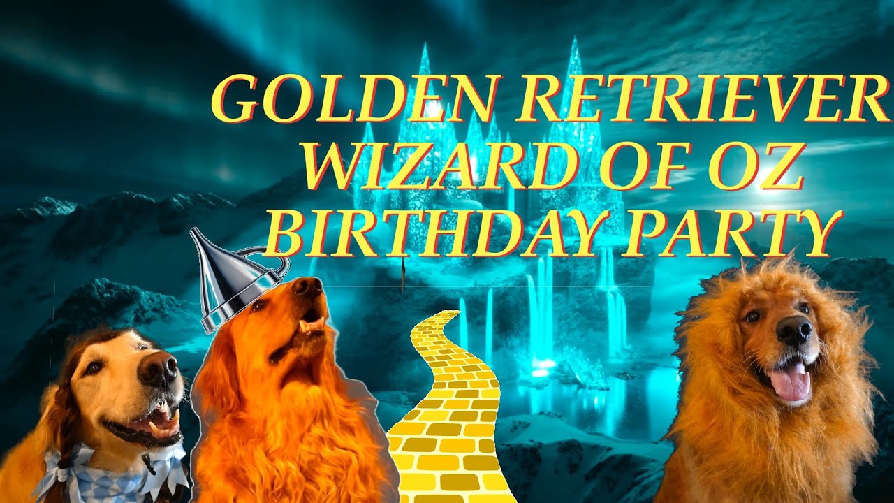 Golden retriever dog's wizard of oz themed birthday celebration# ...