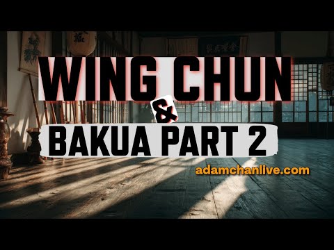Wing Chun w Bakua Part 2  - Adam Chan