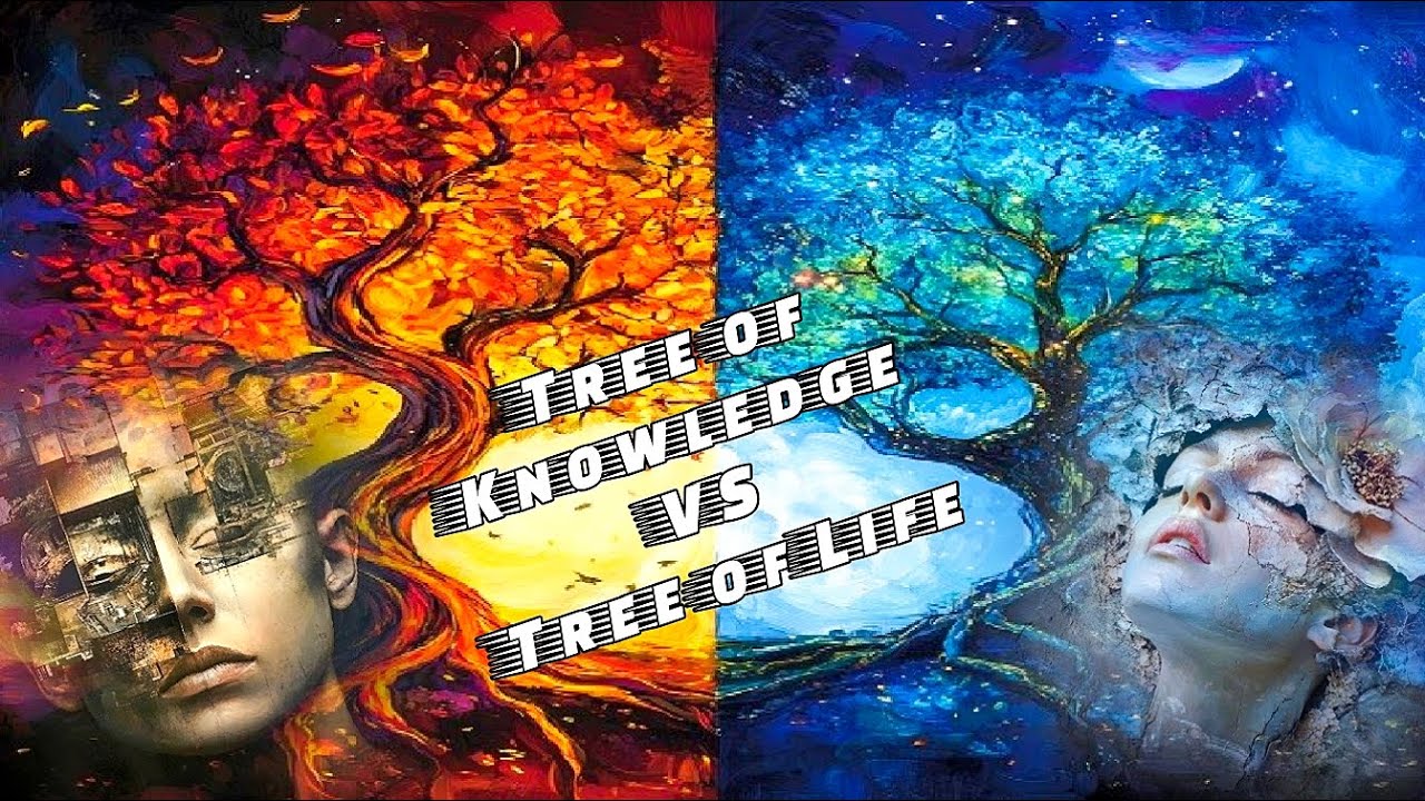 Tree of Knowledge VS tree of Life - YouTube
