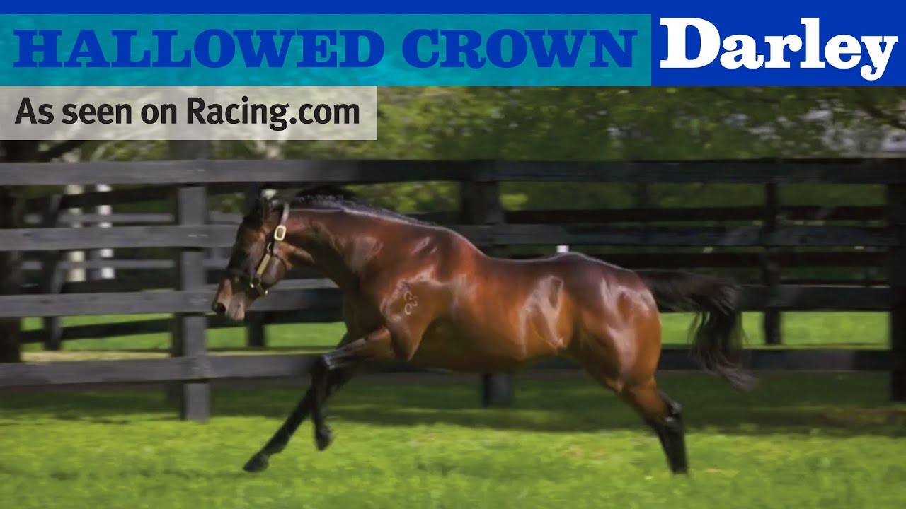 Hallowed Crown as seen on Racing.com - YouTube