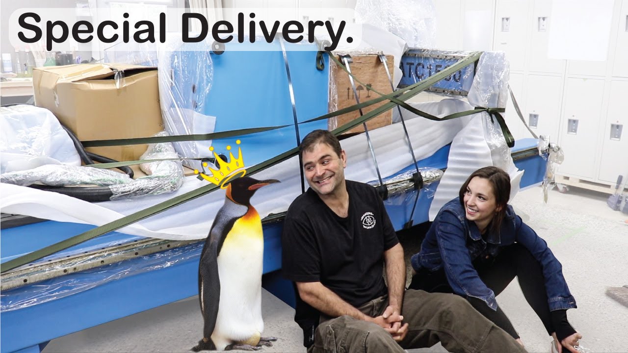 Big CNC Router ! | Our Huge 5' x 10' Penguin CNC Router (King) Delivery ...