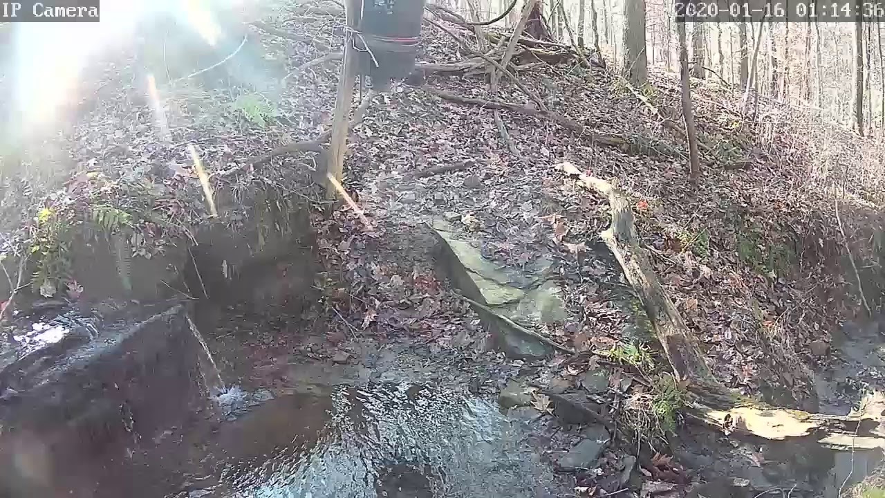Wildlife Webcam 3 Live Stream - YouTube